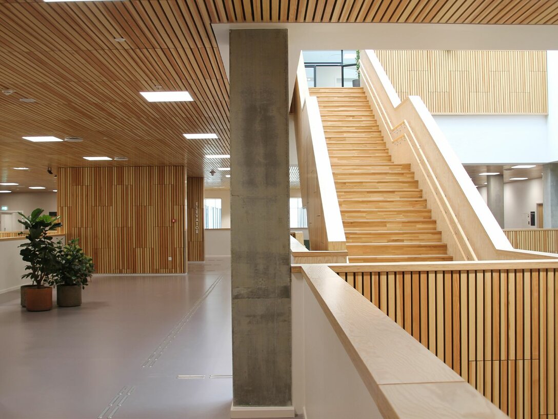 RIBline Timber Slats Ceiling Panel System | Cladding system