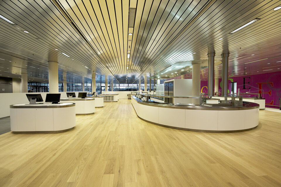 © Lindner, Arnstorf (D)